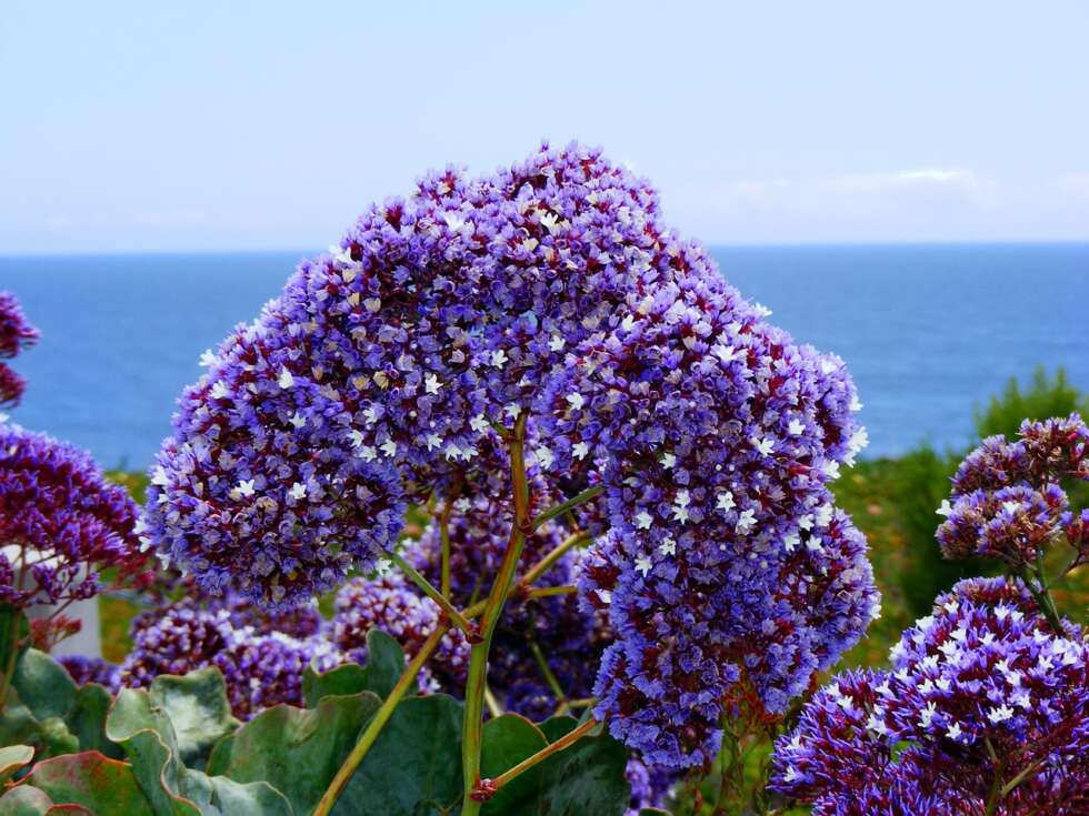 Ritualistic Path to Soothing Anxiety - Wellness With Moira
